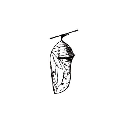 Cocoon Clipart Black And White