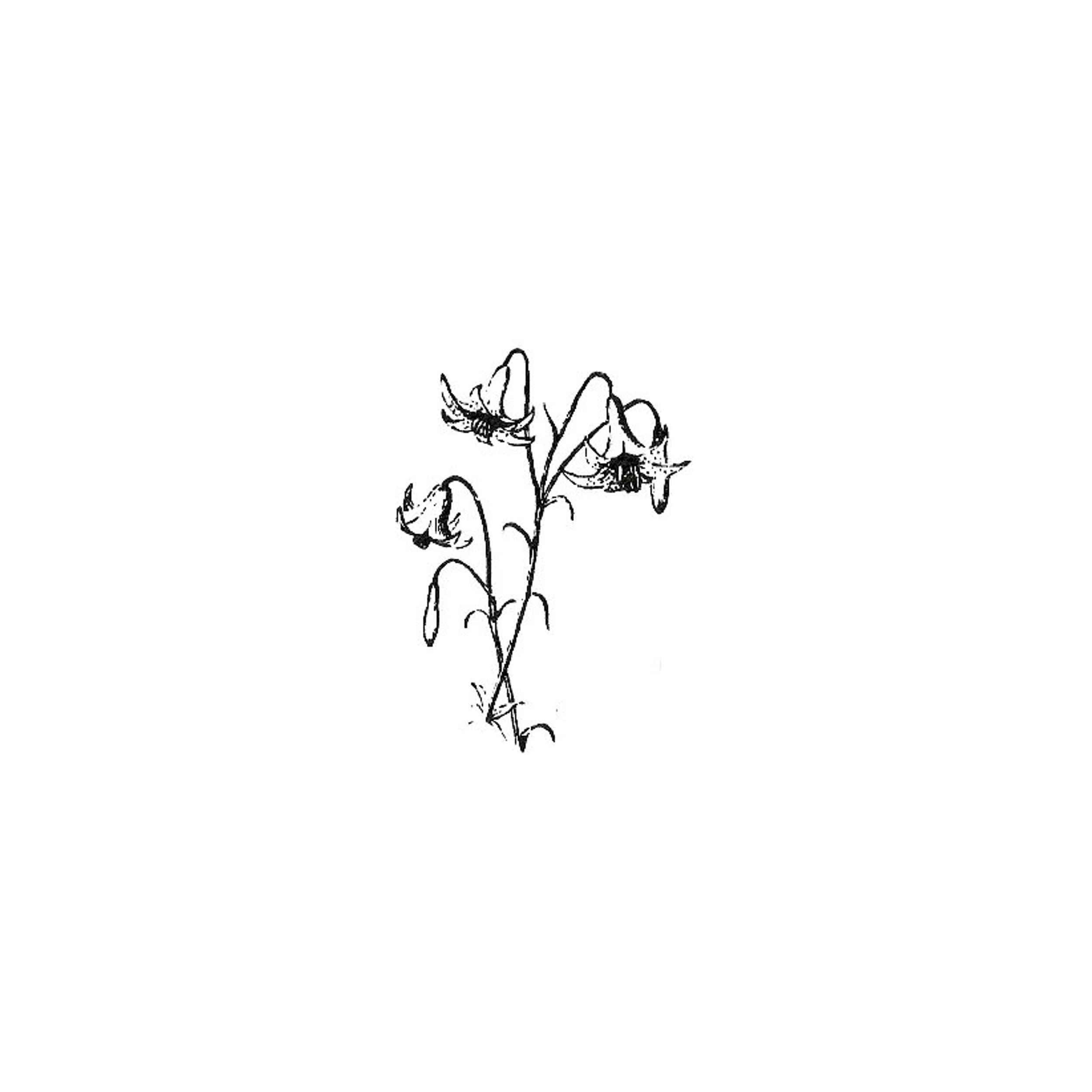 Lily Flowers Rubber Stamp - 3 Choices - Easter Lilies - CMS #2 - Etsy