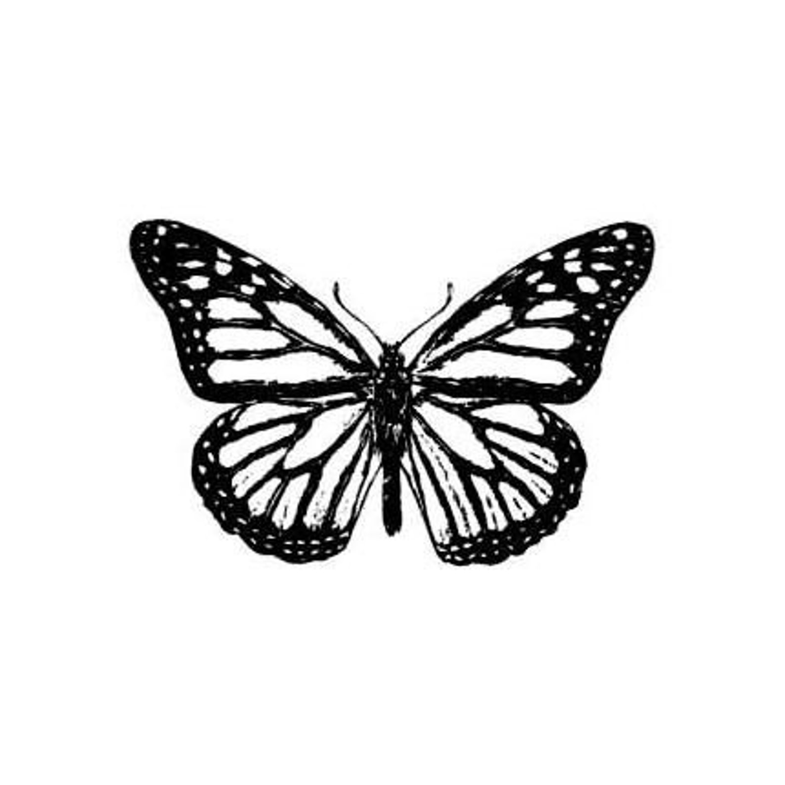 Monarch Butterfly UNMOUNTED Rubber Stamp, Sweet Grass Stamps No.9 - Etsy