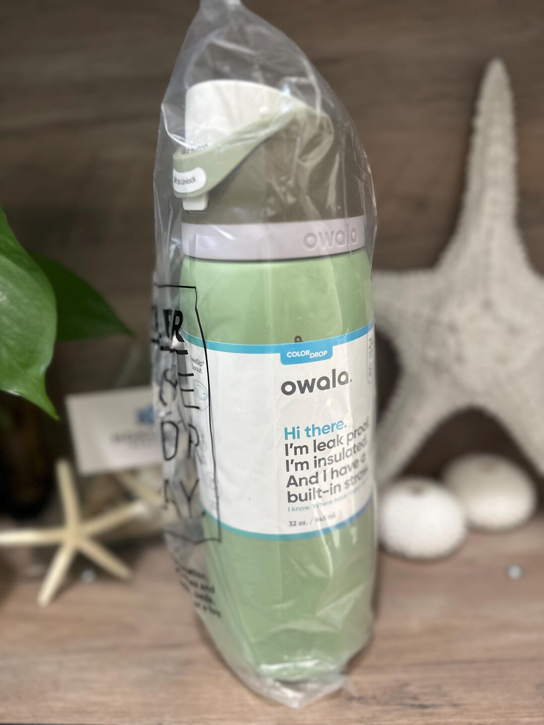 32oz Frankie Owala, Color Drop - Etsy