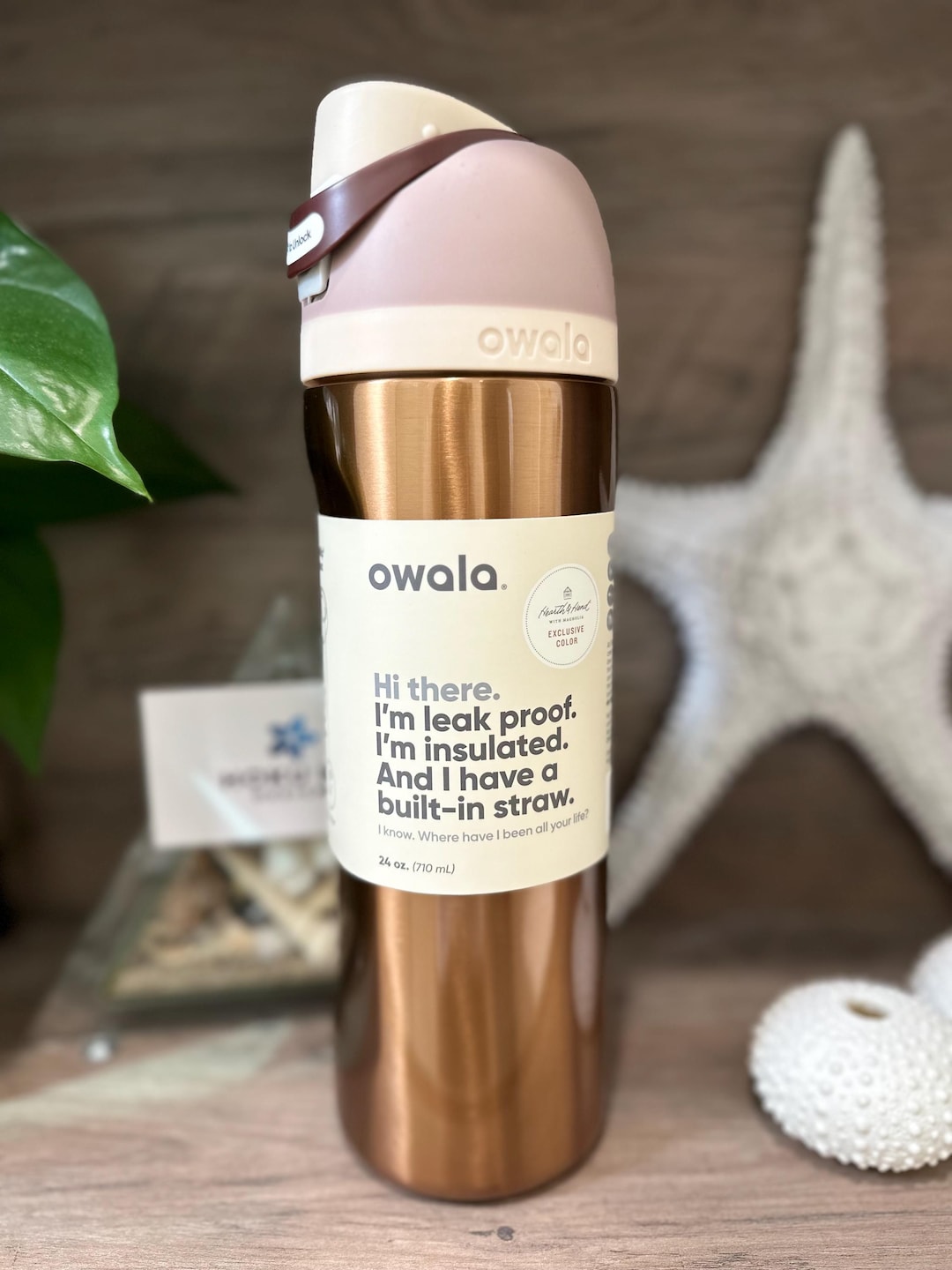 24oz Hearth and Hand Exclusive, Copper Bells Owala - Etsy