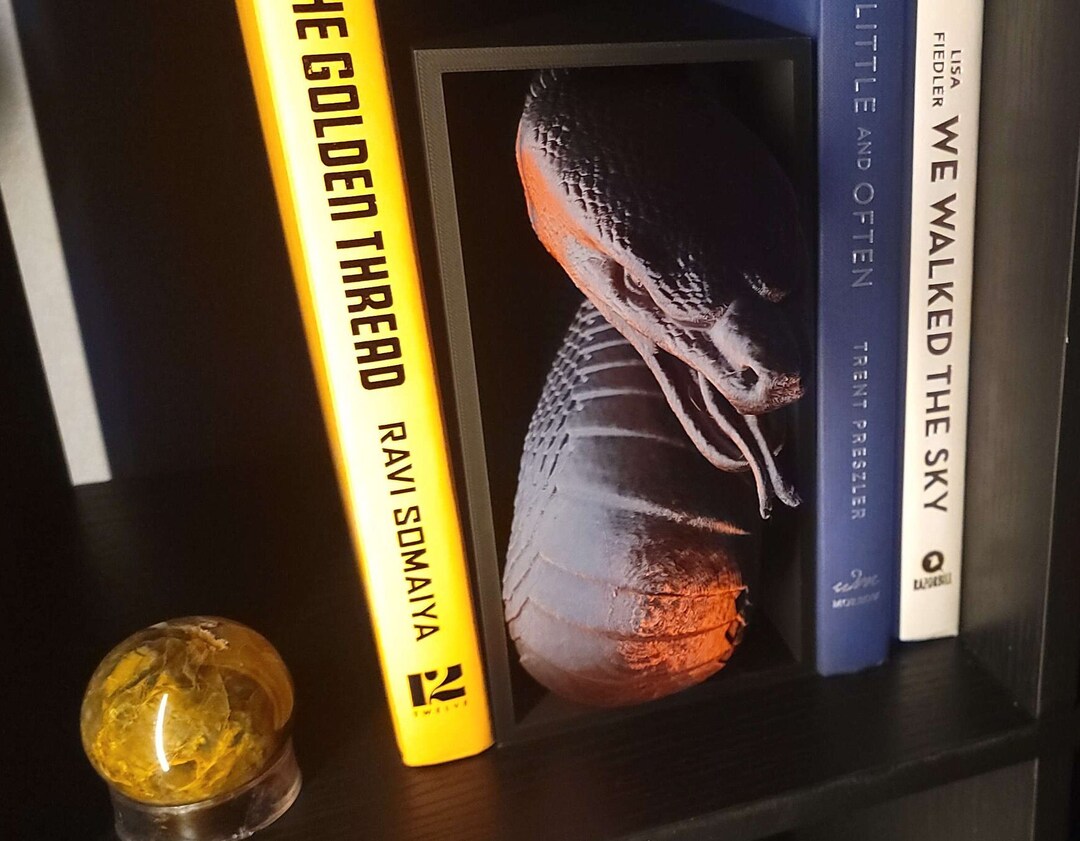 Snake Book Nook, Serpent Book Nook, Snake Bookend, Viper Book Nook ...