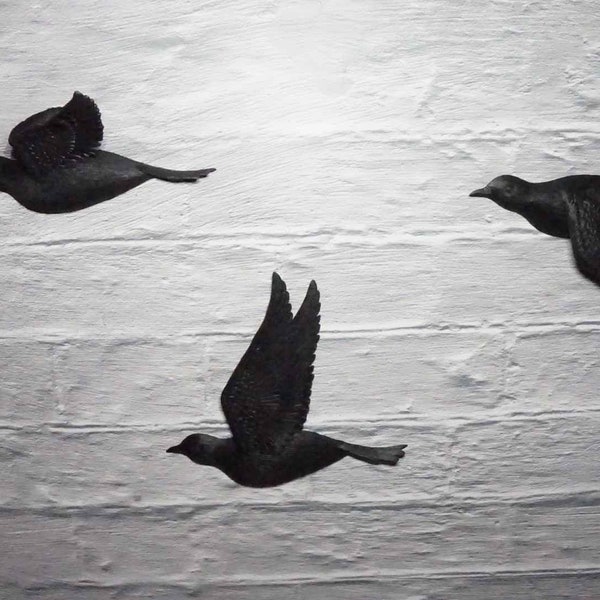 Flying Bird Wall Art - Etsy