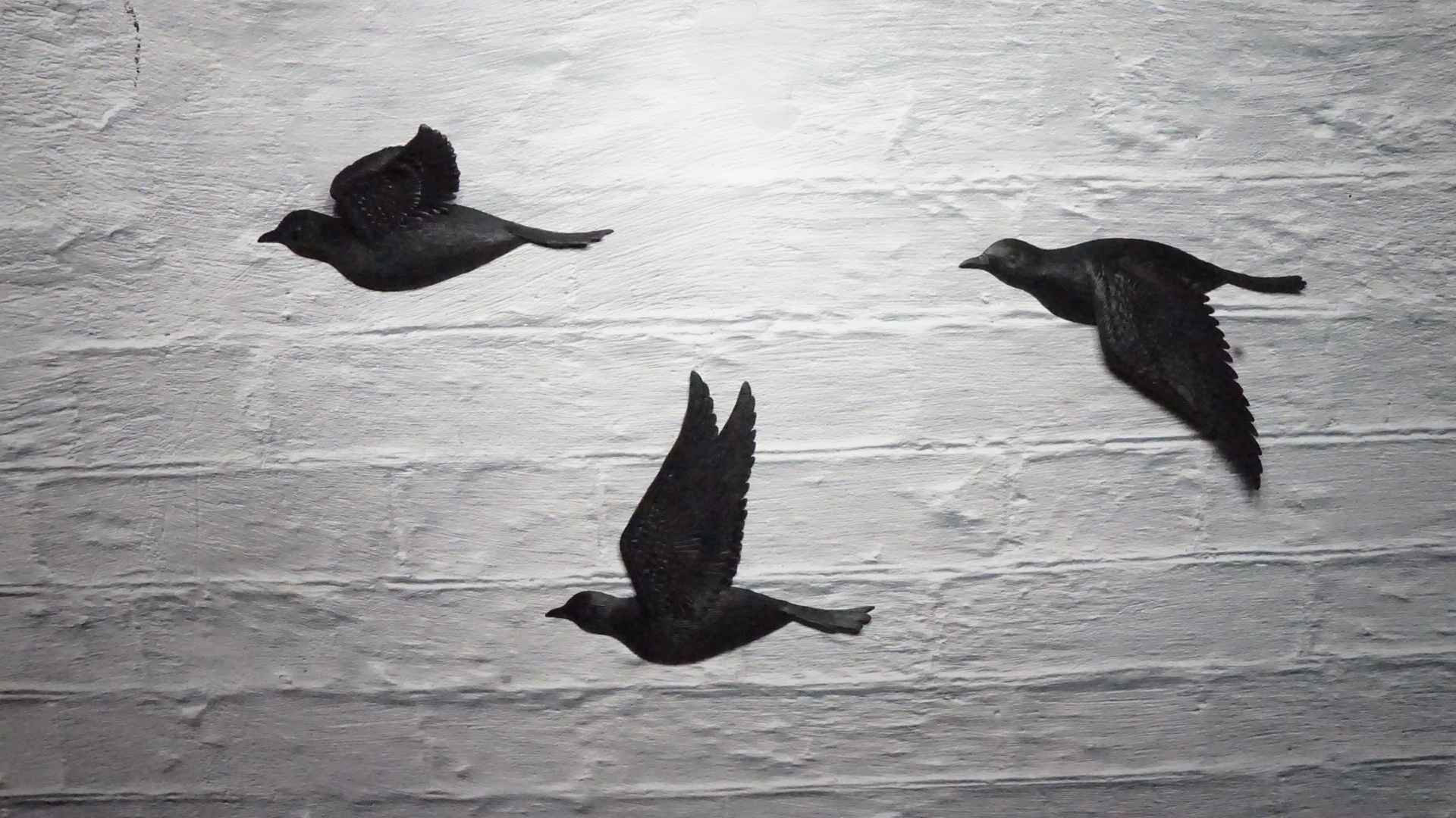 Birds in Flight Wall-mounted Bird Sculptures, Flying Birds Wall Art ...