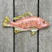 Ceramic Fish, Snapper - Etsy