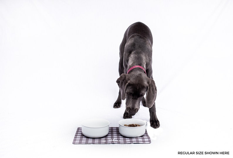 Dog Food Mat Personalized Cartoon Dog With Pet's Name | Etsy