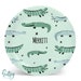 Alligator Plate for Kids - Child's Personalized Plastic Tableware ...