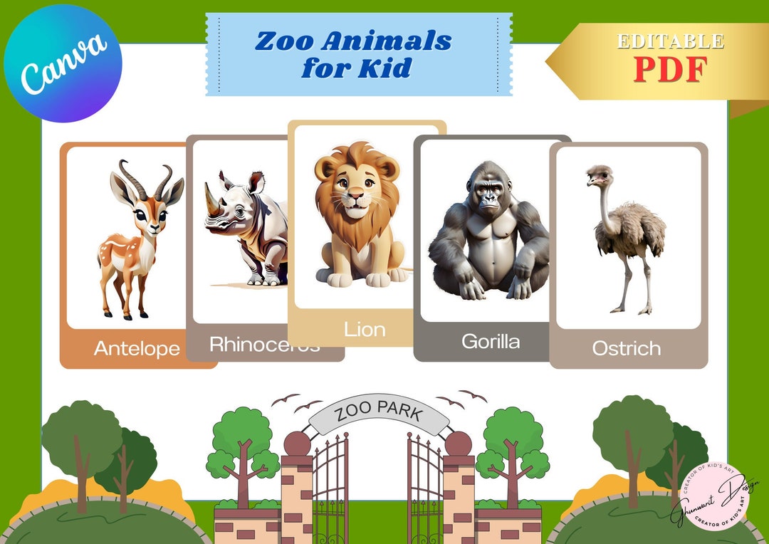 Explore the Wild With Our 30 Zoo Animals Flashcards Bring the ...