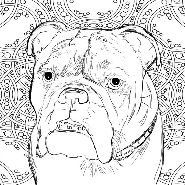 Custom Pet Coloring Book - Make Your Own Pet Coloring Book