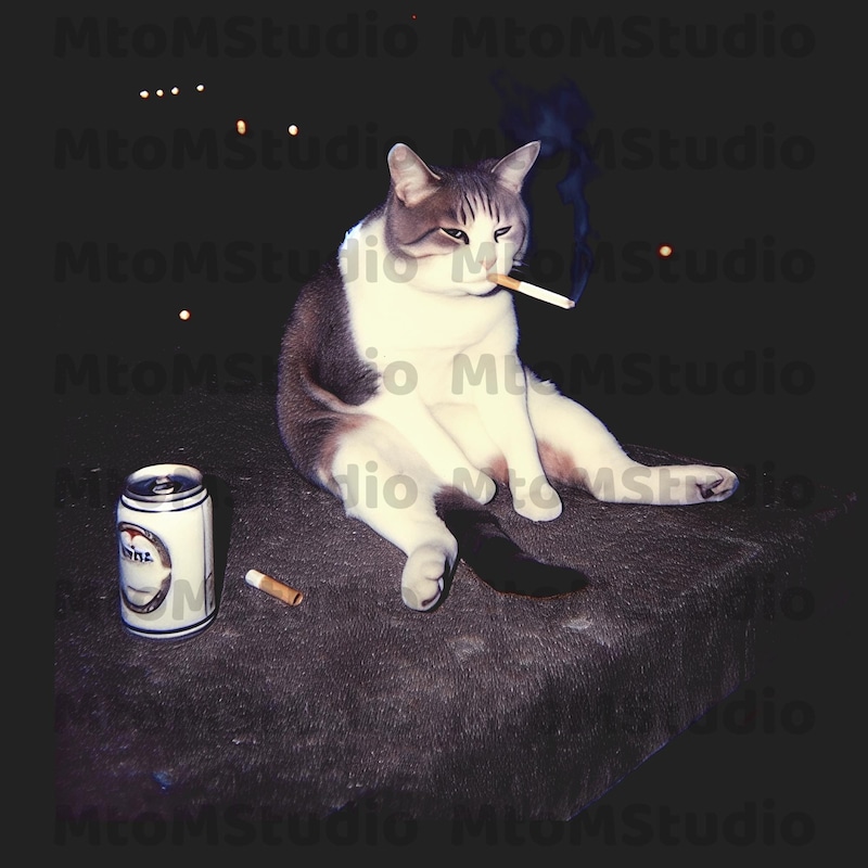 Cat With a Cigarette Png - Etsy