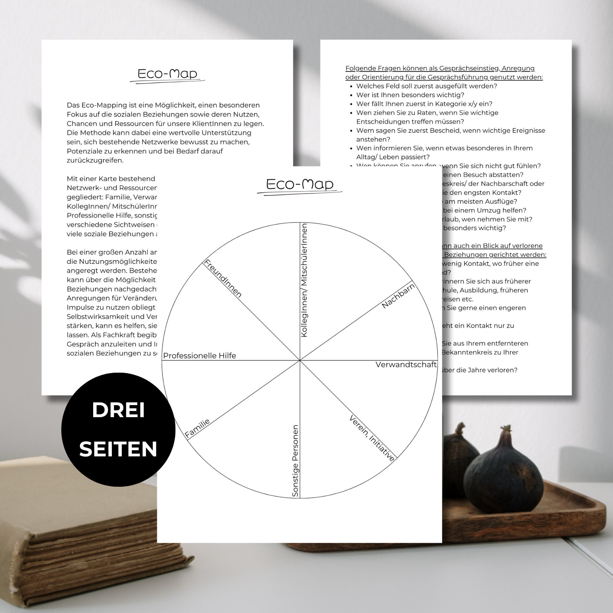 Eco Map | Social Work Method | Relationships, Networks, Resources ...