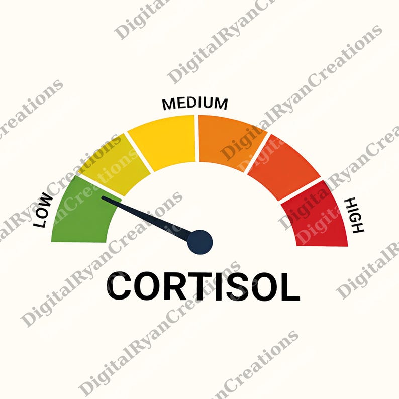 High Cortisol Low Cortisol Funny Png, Relatable Nervous System Graphic ...