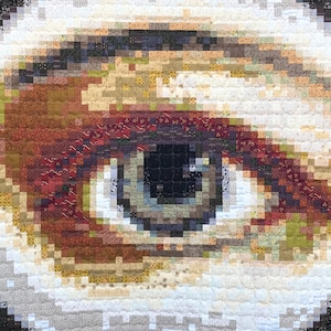 Pixel Art Quilt Quilted Wall Hanging Fine Art Quilt Vintage Eye ...