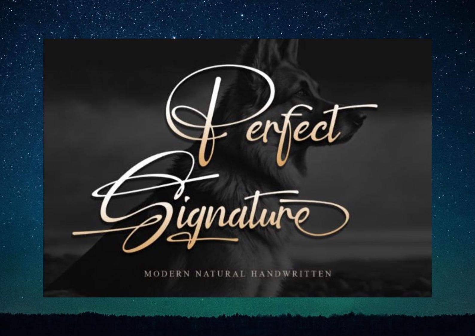 Perfect Signature Font Script Font, Canva Font, Procreate Font, Logo ...