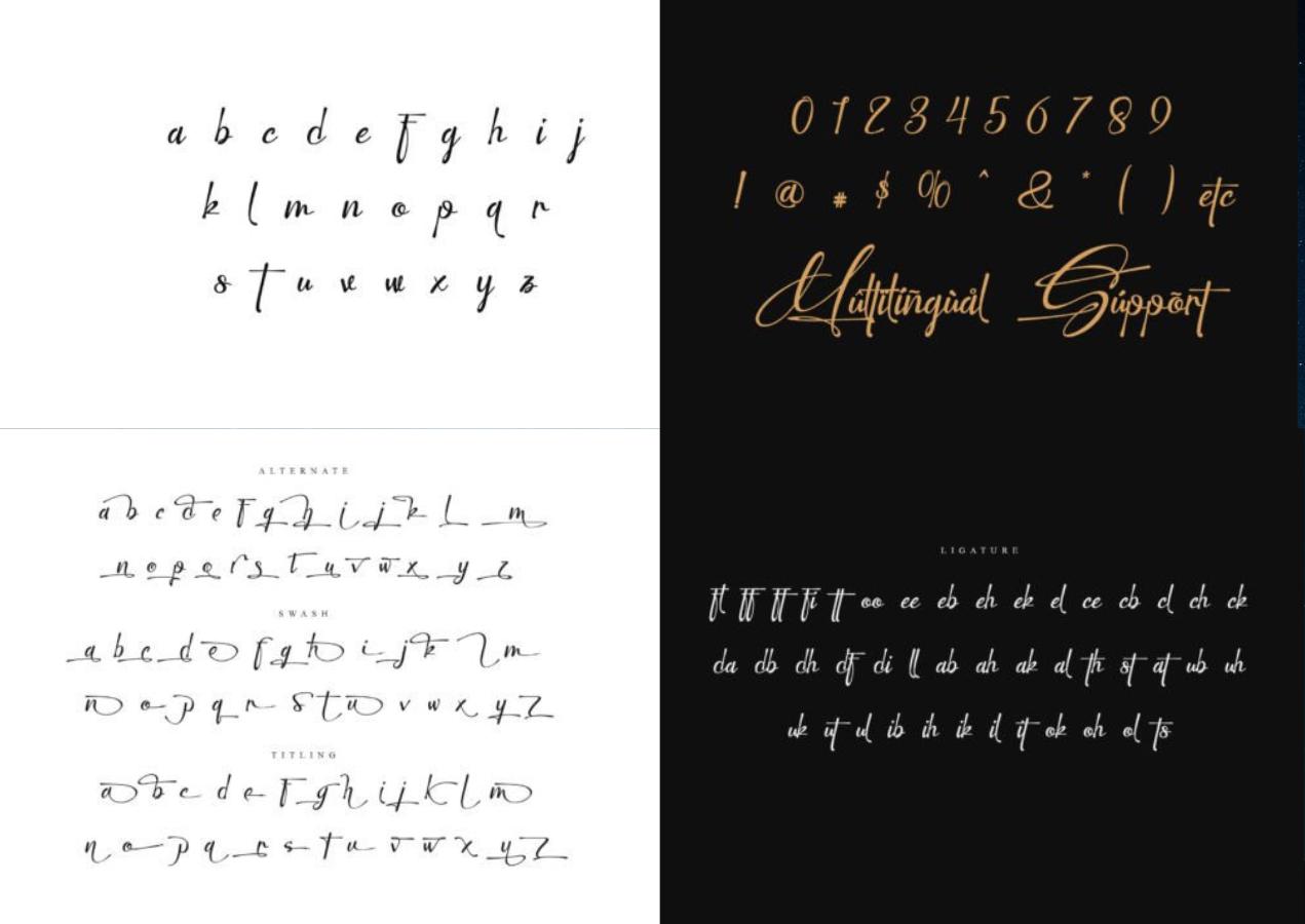 Perfect Signature Font Script Font, Canva Font, Procreate Font, Logo ...