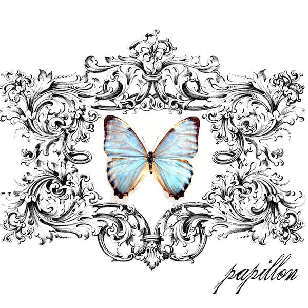 Papillon Fabric - Etsy