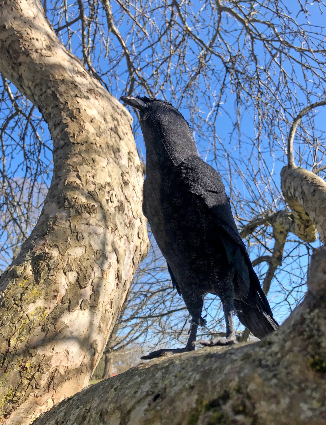 A Sewing Pattern PDF : Crow - Etsy