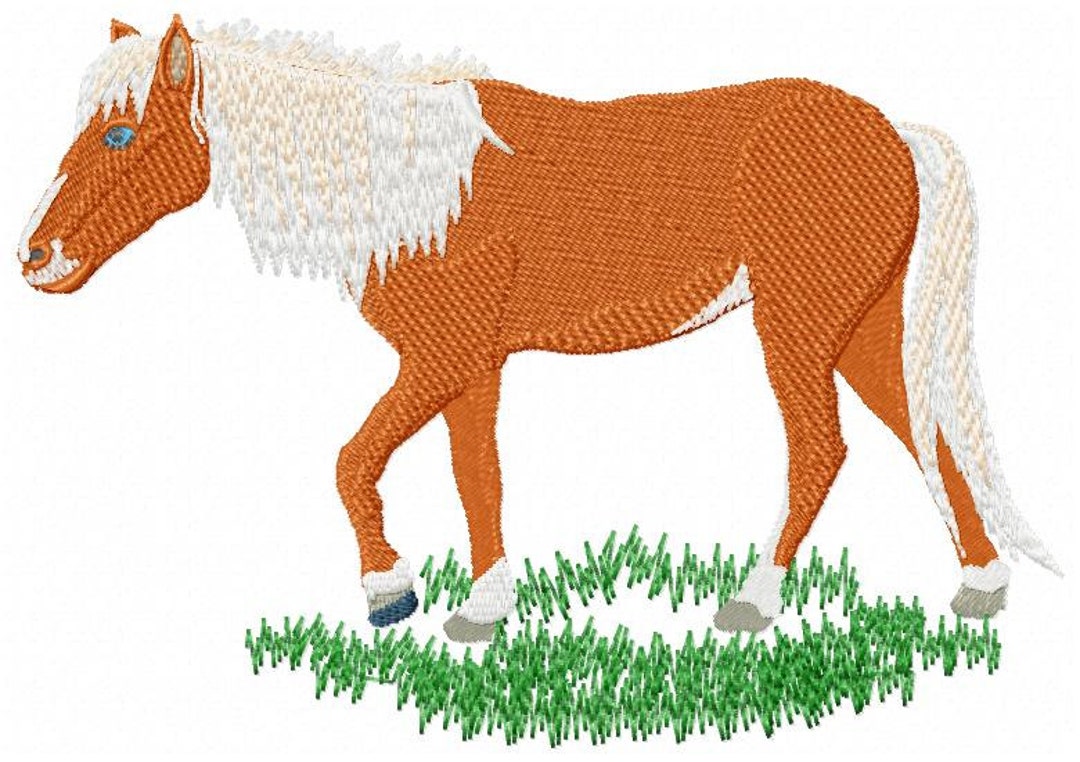 Pony Machine Embroidery Design (5 X 7 Hoops) - Etsy