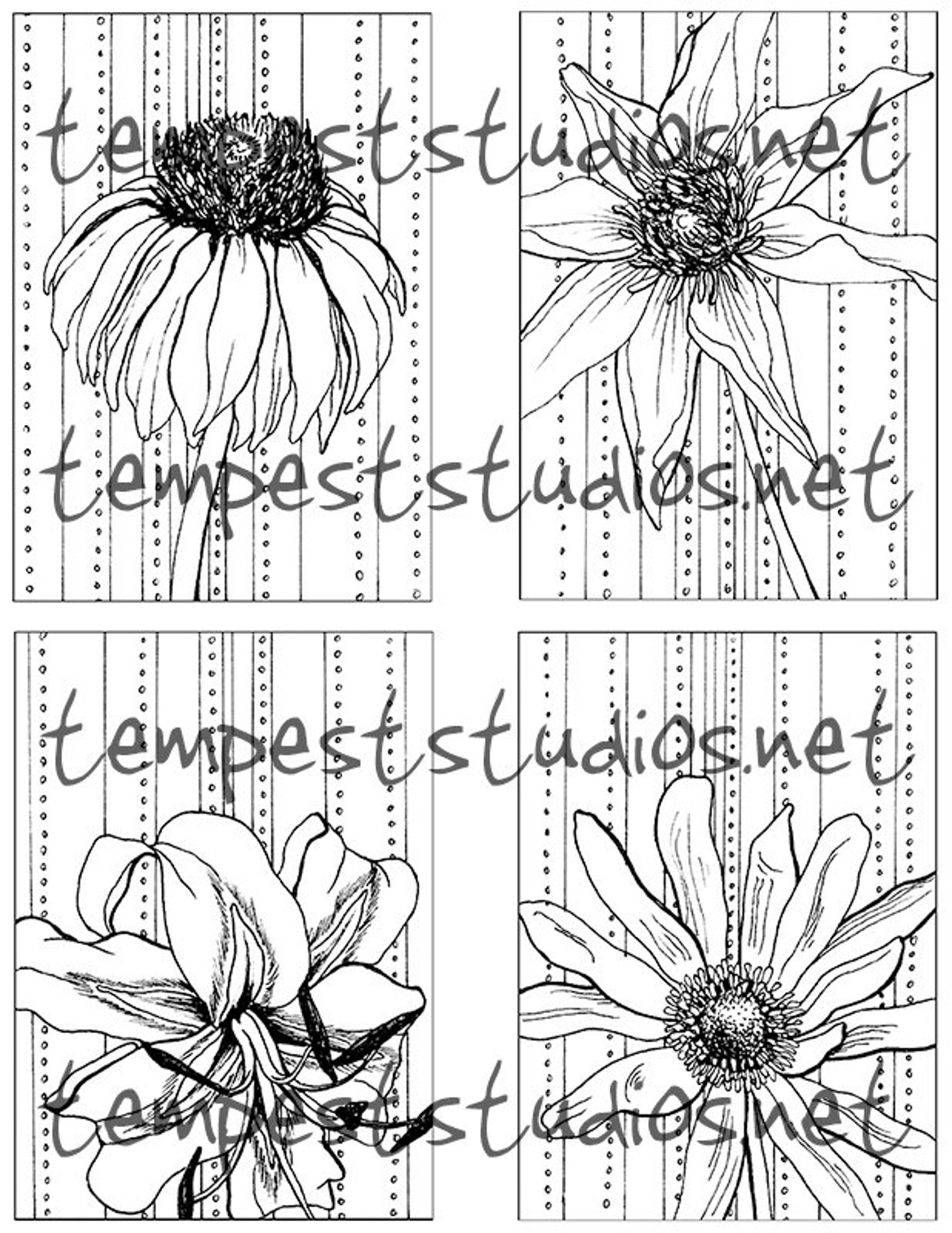 Flower Coloring Page 3 by Tempest Studios, Printable Adult Kids ...