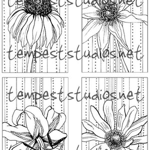 Flower Coloring Page 3 by Tempest Studios, Printable Adult Kids ...
