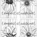 Flower Coloring Page 3 by Tempest Studios, Printable Adult Kids ...