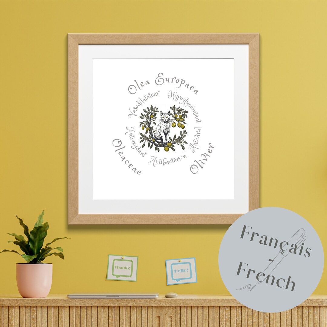 French Digital Animal Naturopathy Poster, Cat and Olive Tree Poster ...