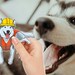 Husky Construction Worker Sticker Siberian Husky Handyman and ...