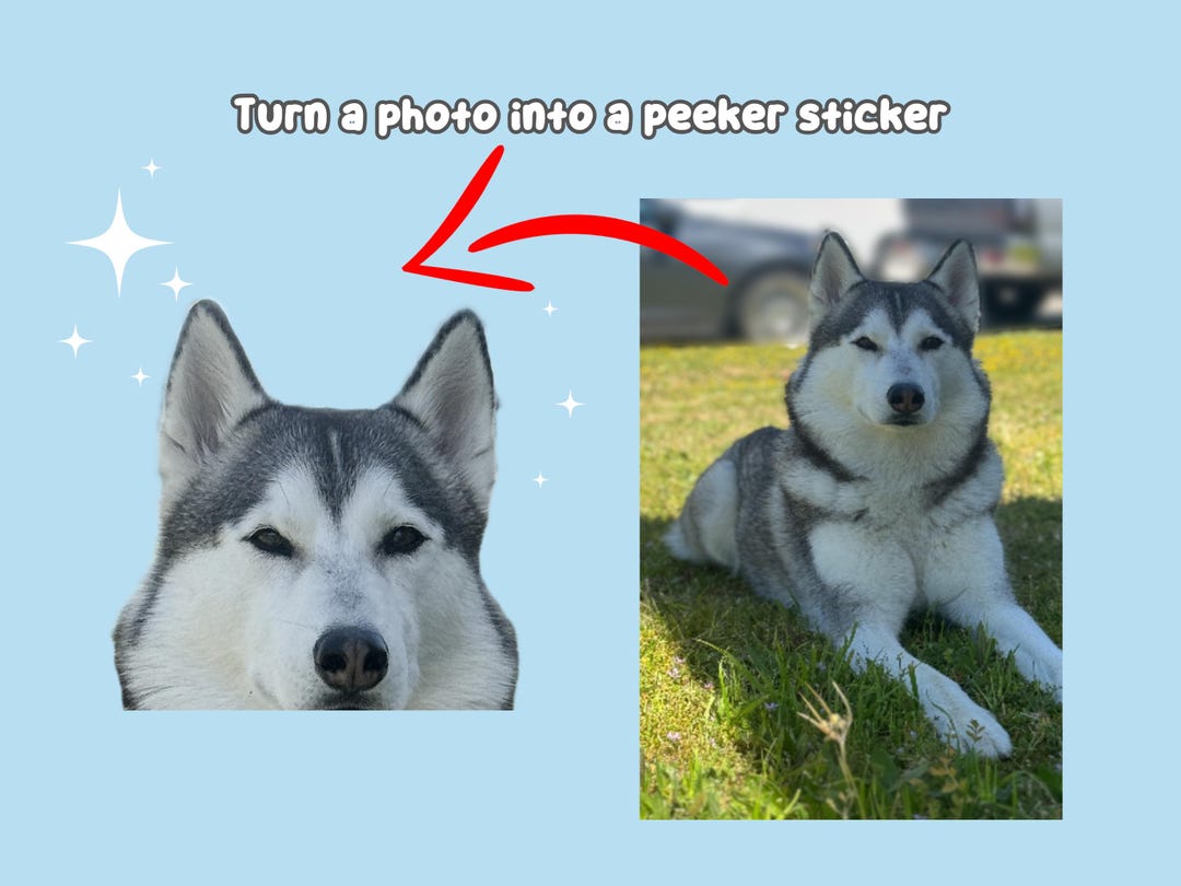 Custom Peeker Sticker Personalized Dog, Cat, Rabbit, Horse Vinyl Decal ...