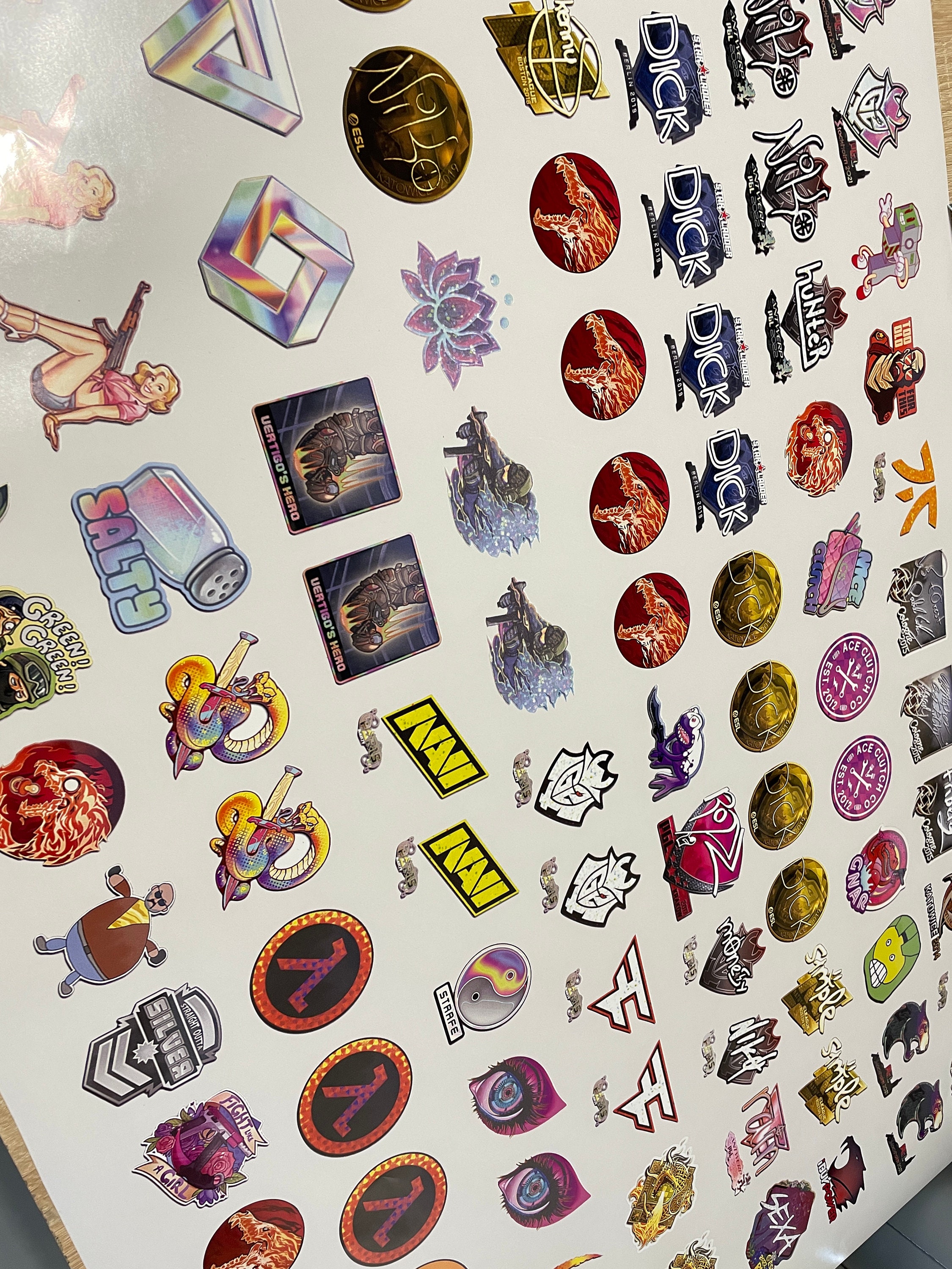 Any Stickers From CSGO in Real Life Set Katowice Counter Strike 2 ...