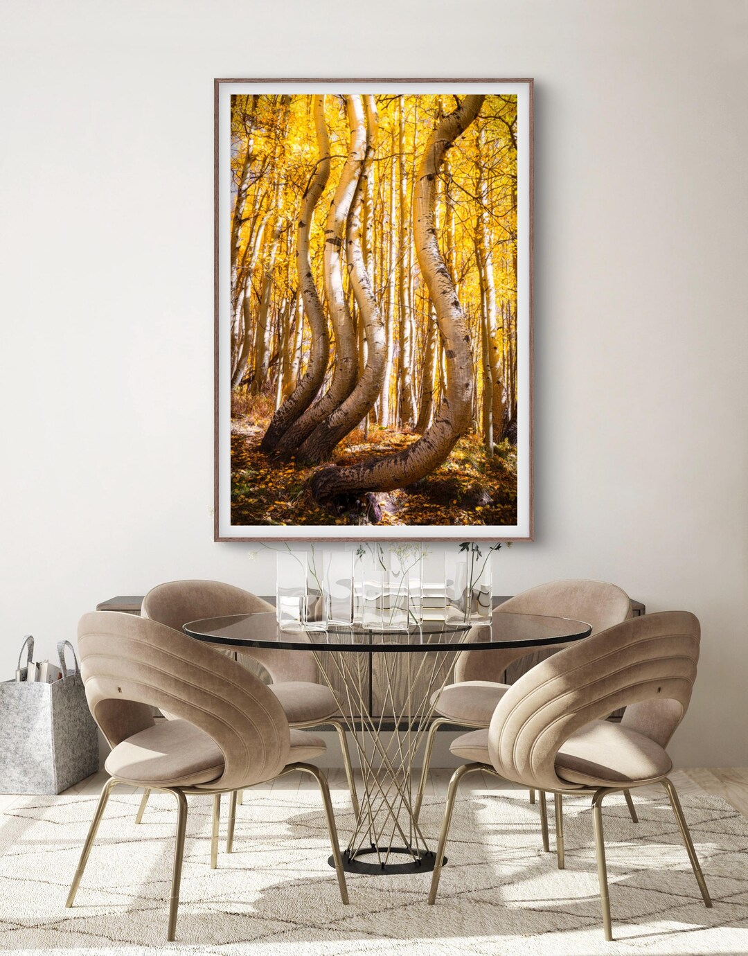 Dancing Aspen Trees Near Telluride - Colorado Photography - San Juan ...