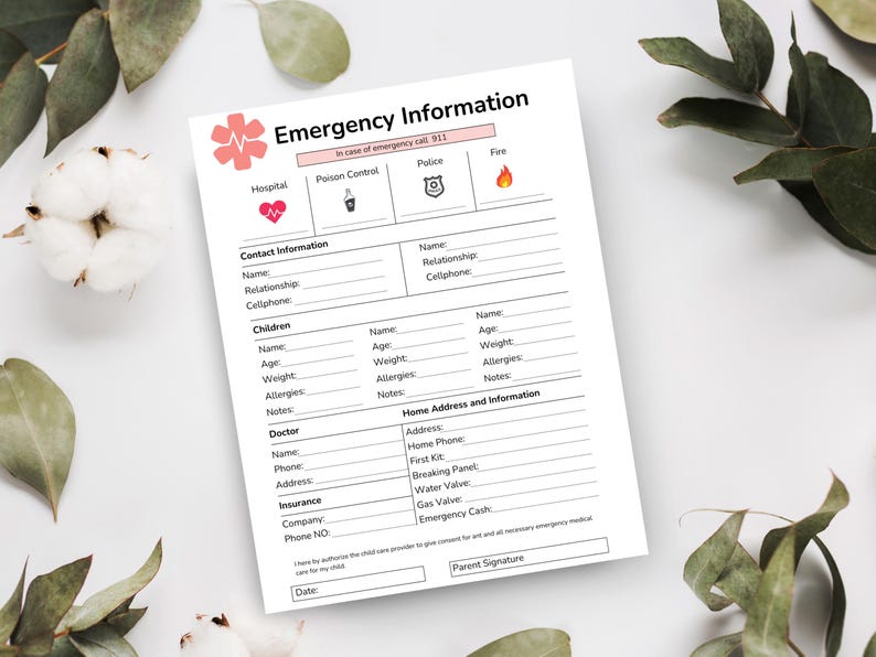 Medical Information Template, Medical Binder, Emergency Binder, Day ...