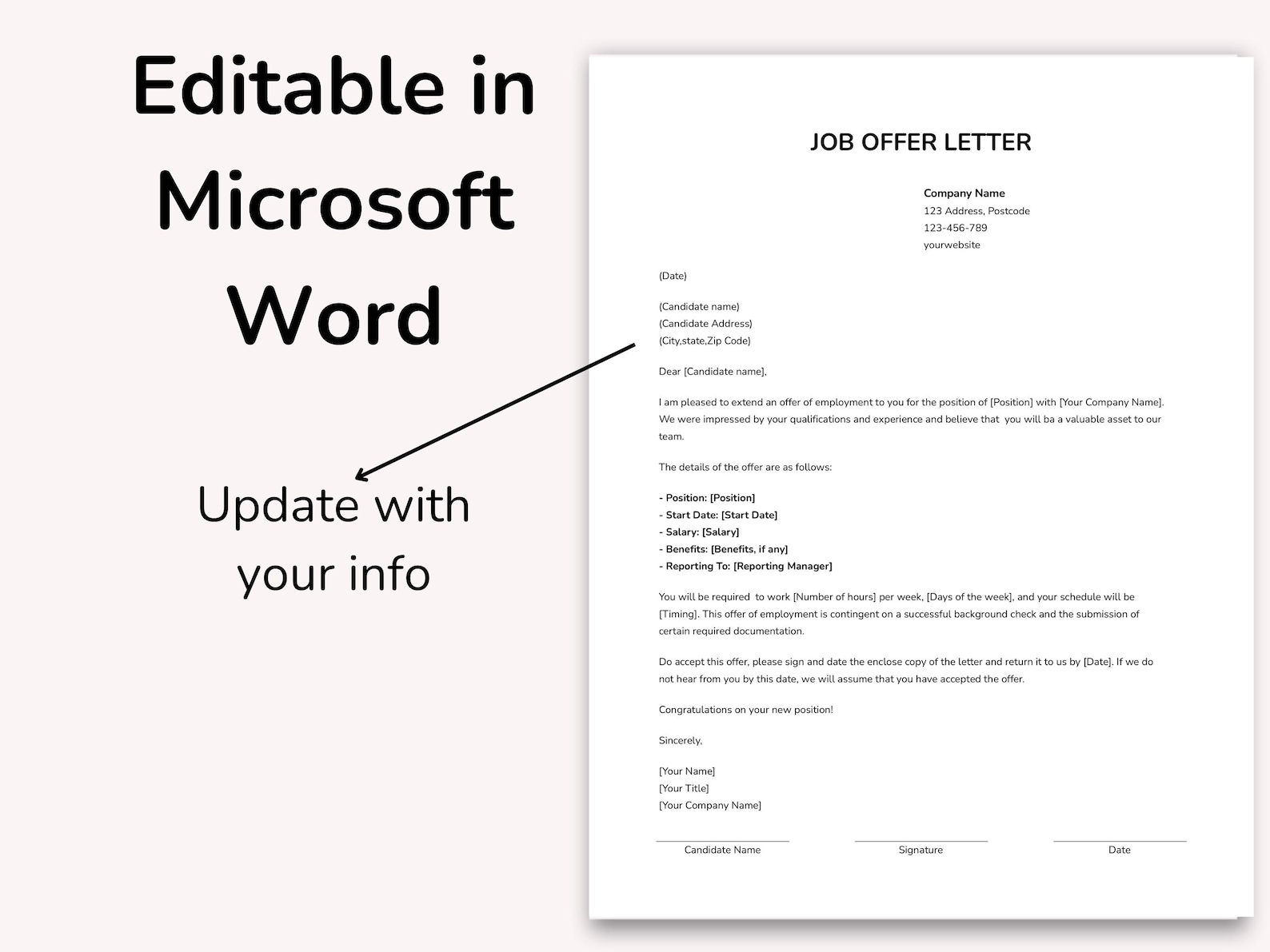 Professional Offer Letter MS Word Template, Employment Offer Letter ...