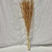 Dried Prairie Grass | Wild Grass | Ornamental Grass | Natural Decor ...