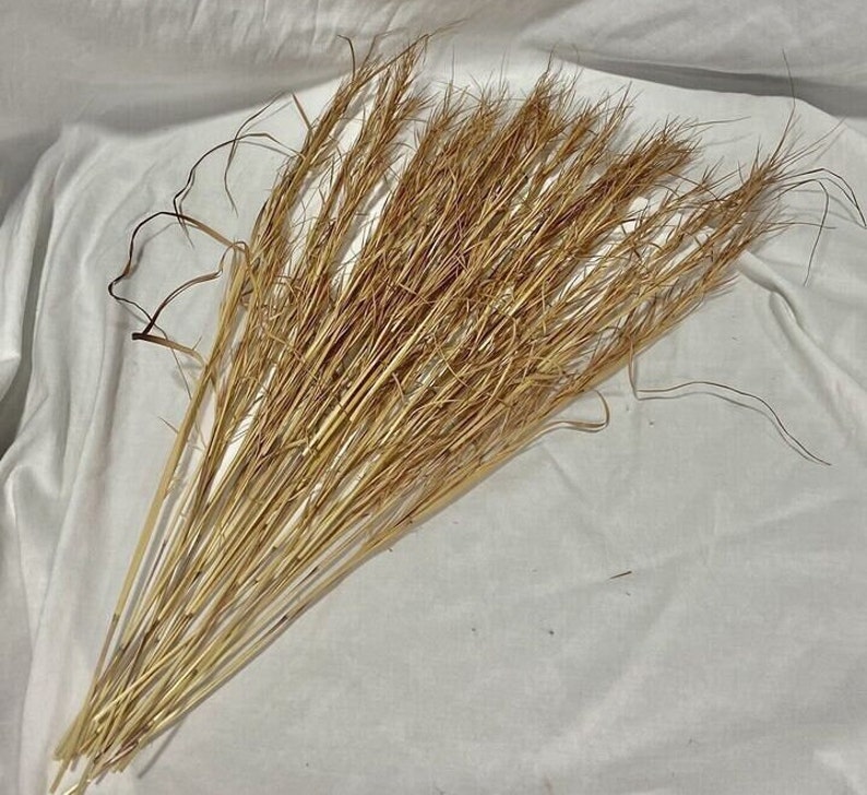 Dried Prairie Grass | Wild Grass | Ornamental Grass | Natural Decor ...