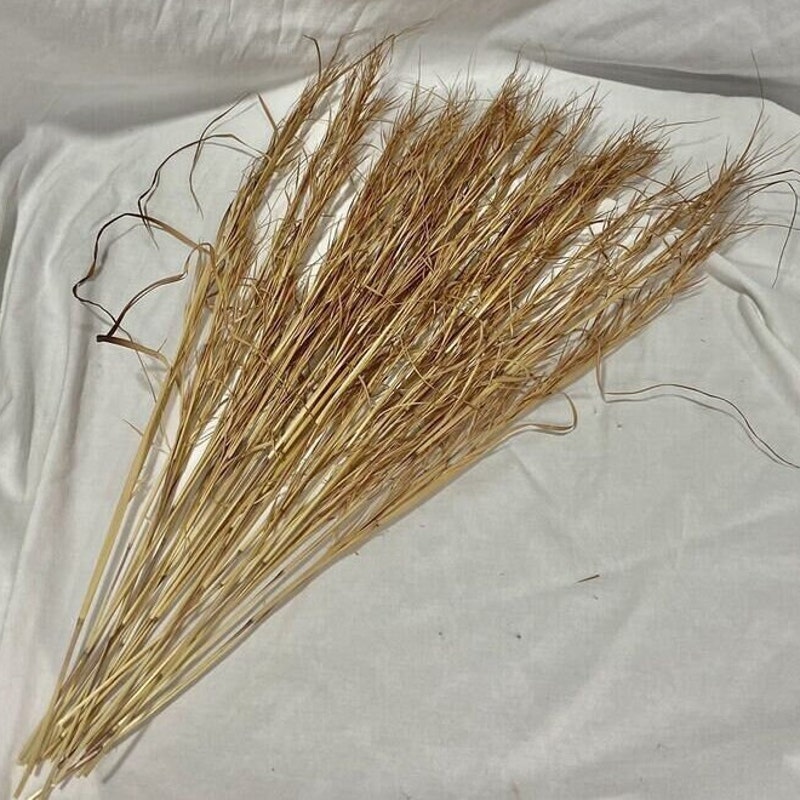 Dried Grass - Etsy