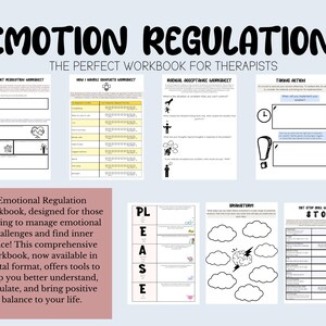 Emotional Regulation Workbook / Emotions Worksheets / Therapy ...