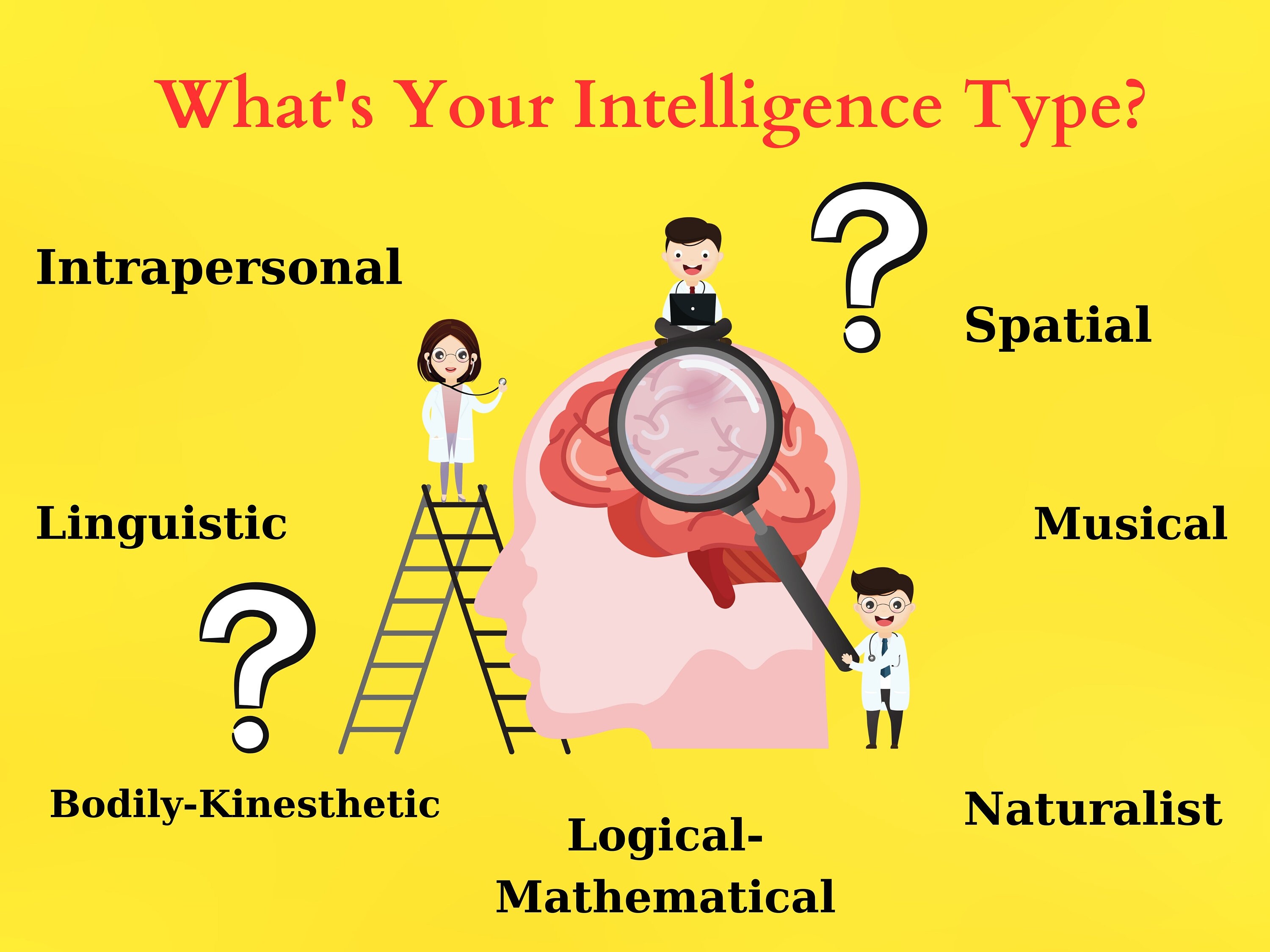 Multiple Intelligences Test / Psychology Quiz for Children / Define ...