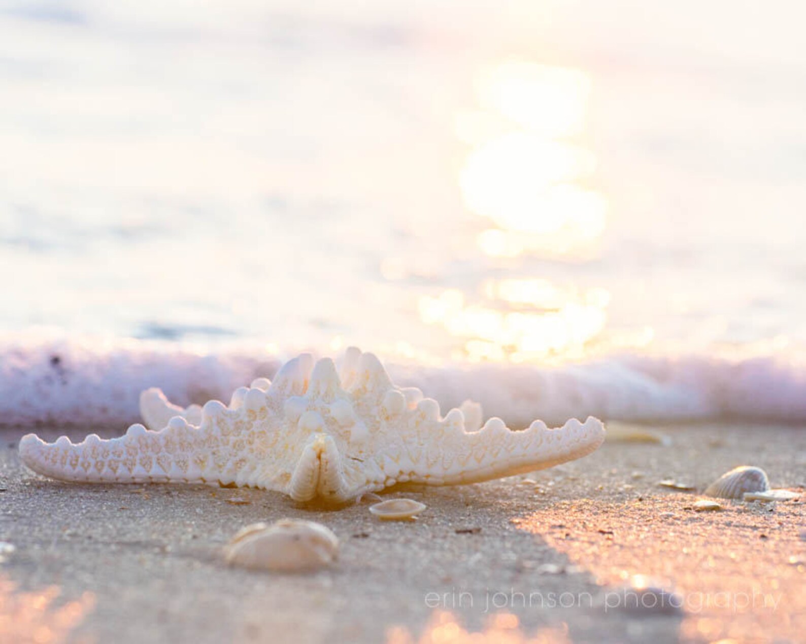 Ocean Print, Beach Photography, Starfish Decor Art for Frame, Coastal ...