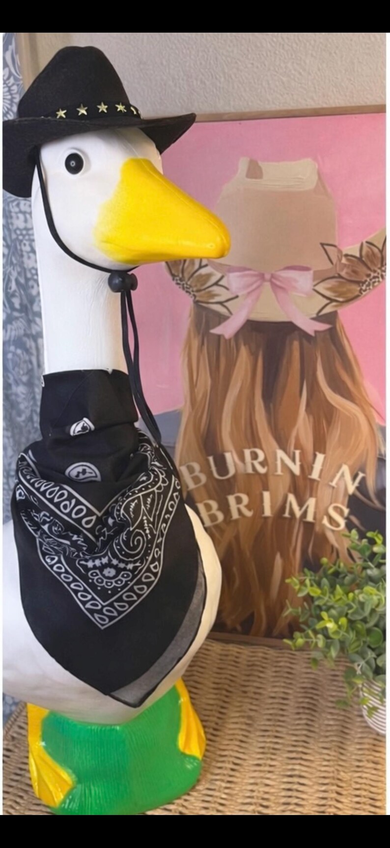 Burnin’ Brims Porch Goose Hat | Hand Burned Cowboy Hat for Goose ...
