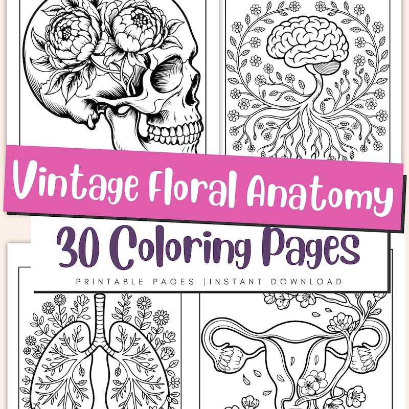 Anatomy Floral Art - Etsy