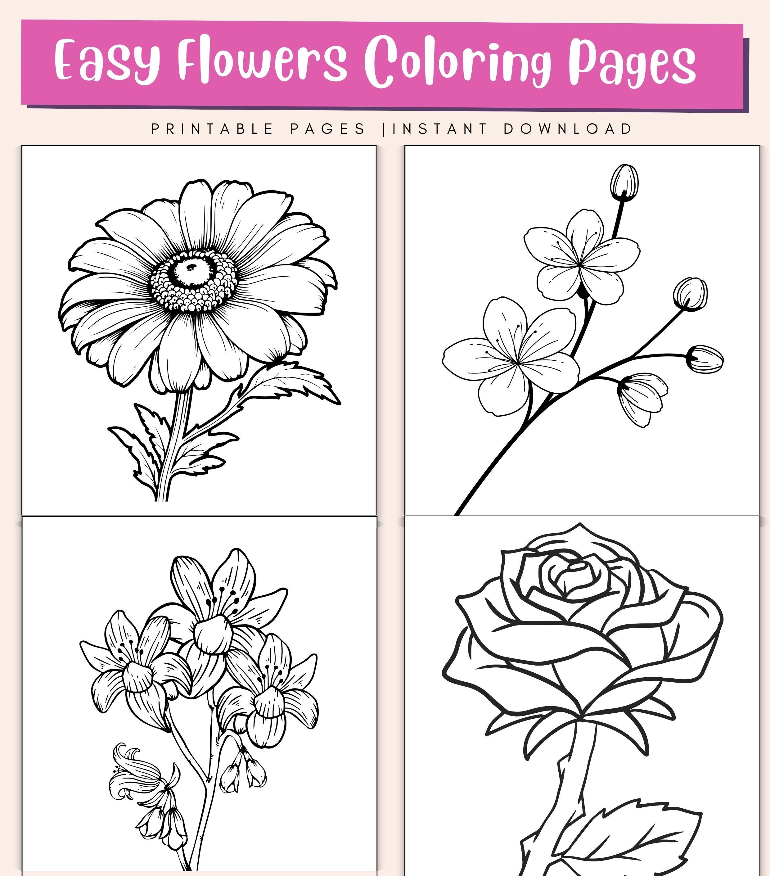 Easy Flowers Coloring Pages for Kids & Adults – Simple Toddler Floral ...