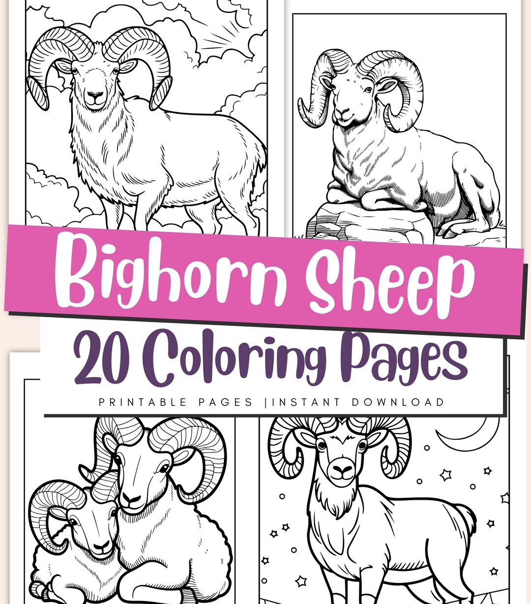 Bighorn Sheep Coloring Pages for Kids: Mountain Wildlife Animal ...