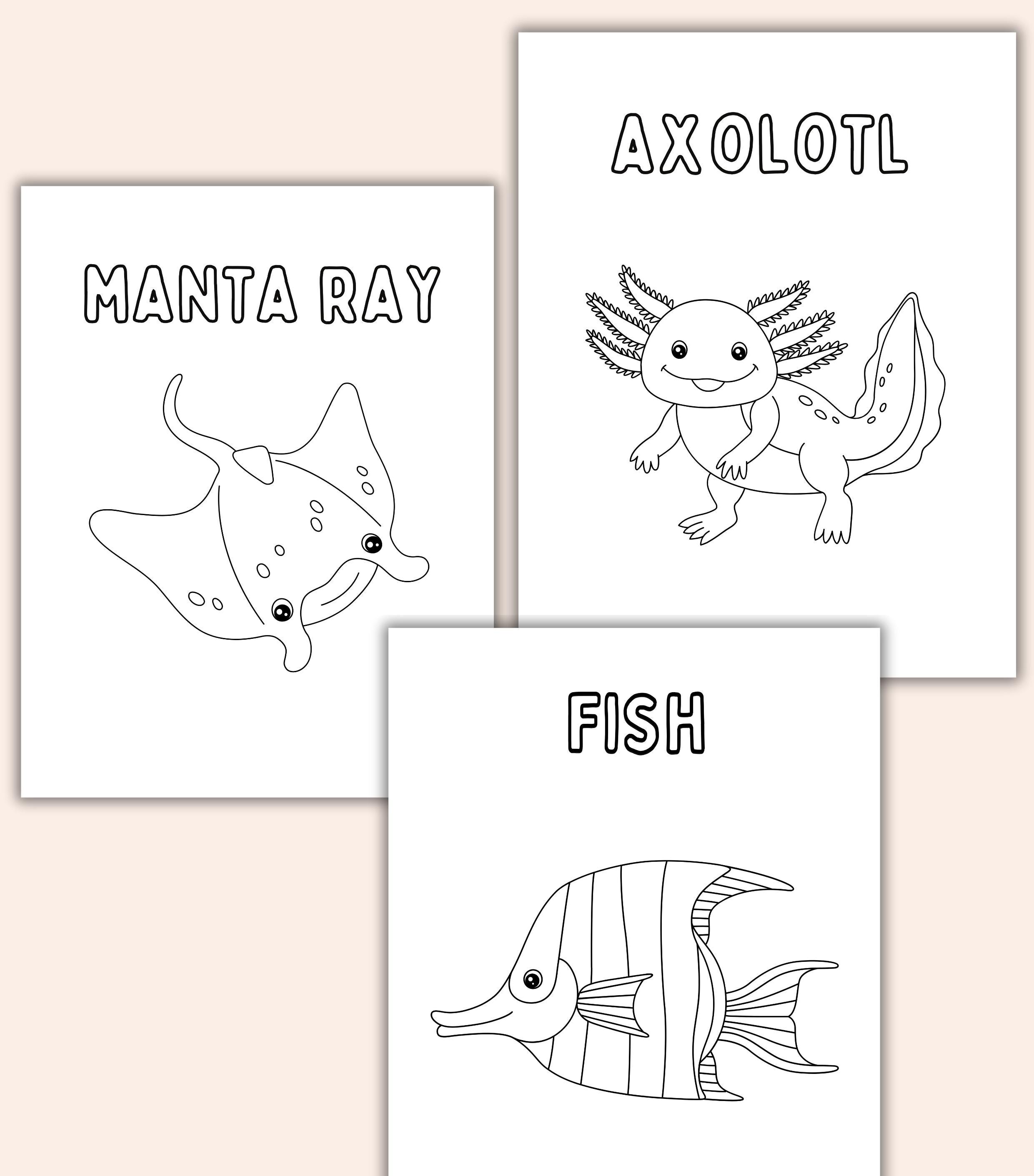 Easy Ocean Animals Coloring Pages, Sea Creatures, Printable Coloring ...