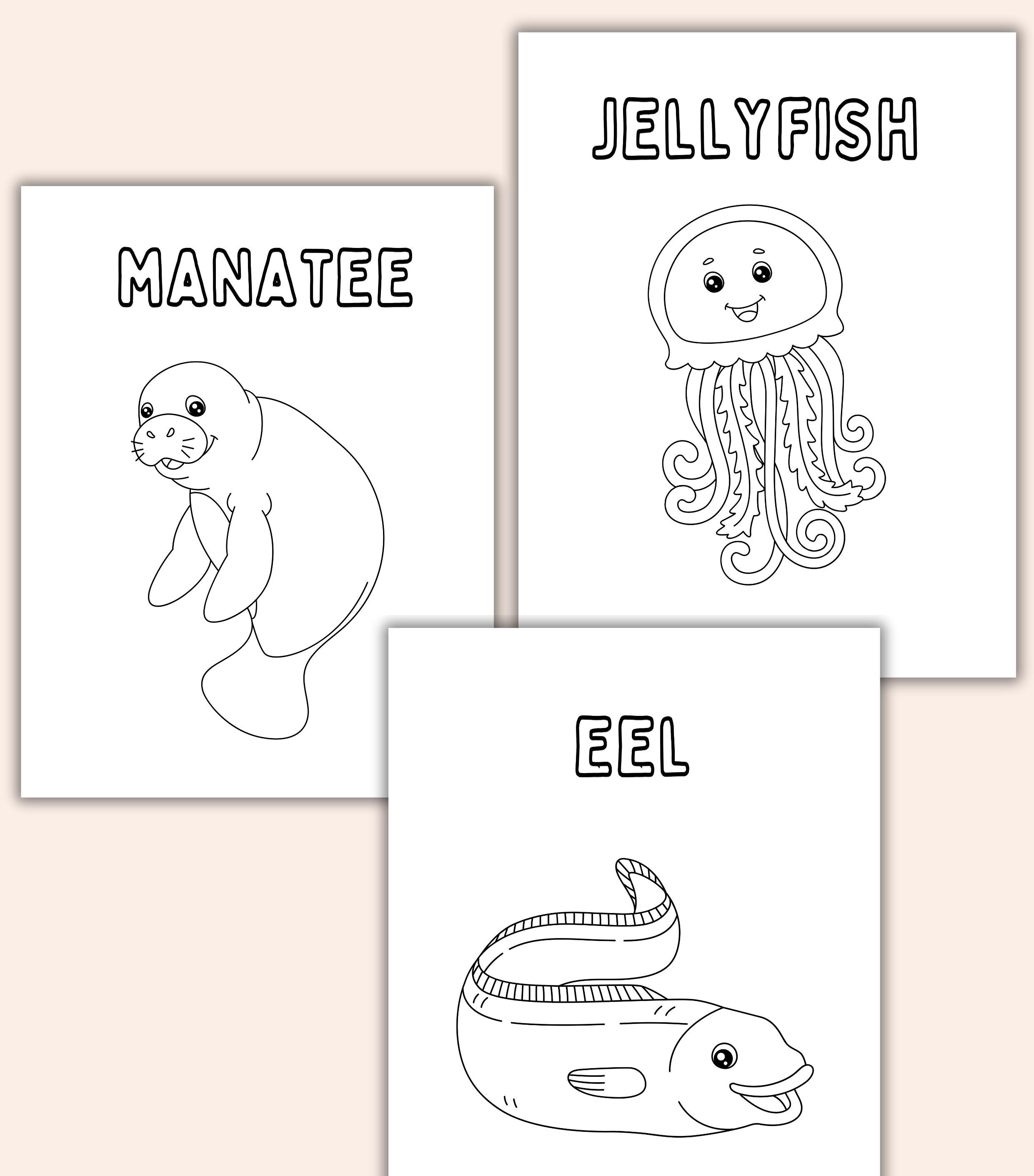 Easy Ocean Animals Coloring Pages, Sea Creatures, Printable Coloring ...