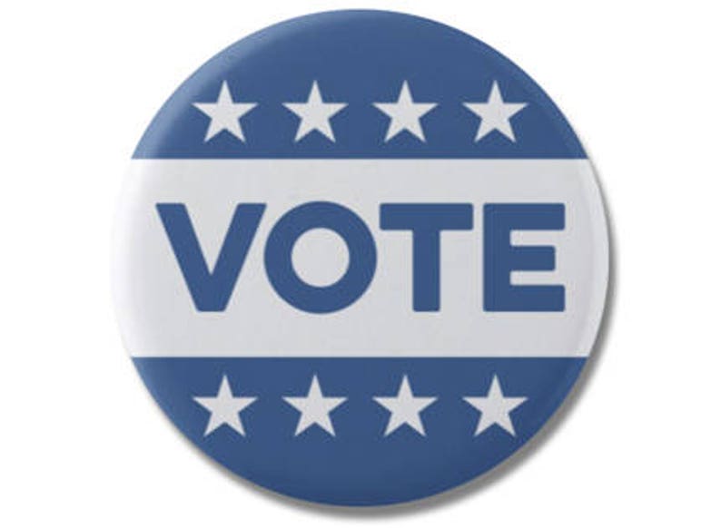 Vote Election Button 1.25 or 2.25 Pinback Pin - Etsy