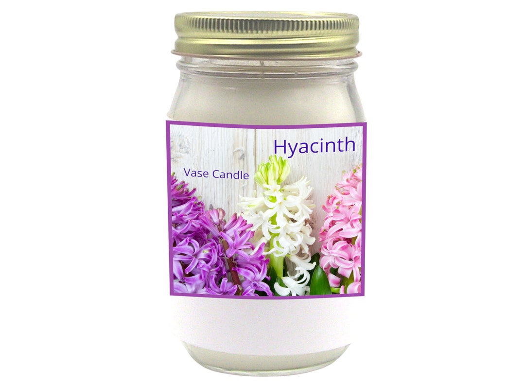 Hyacinth Vase Candle Large Jars - A Floral Aroma of Fresh Hyacinth ...