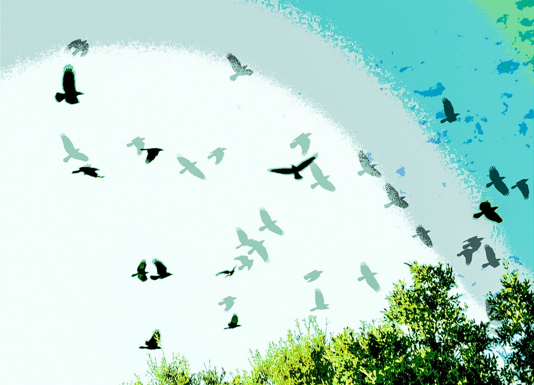 Easy Soaring, Print. Avian Theme, Fleecy Grays, Liquid Blue, High ...