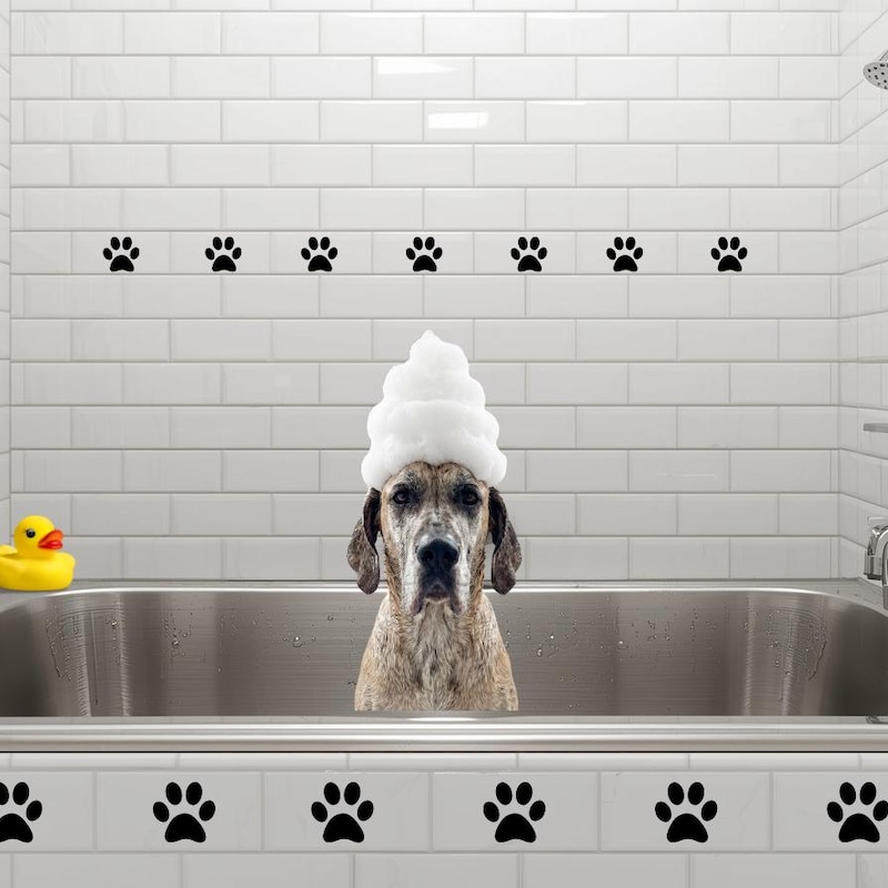 Dog Paw Tile - Etsy