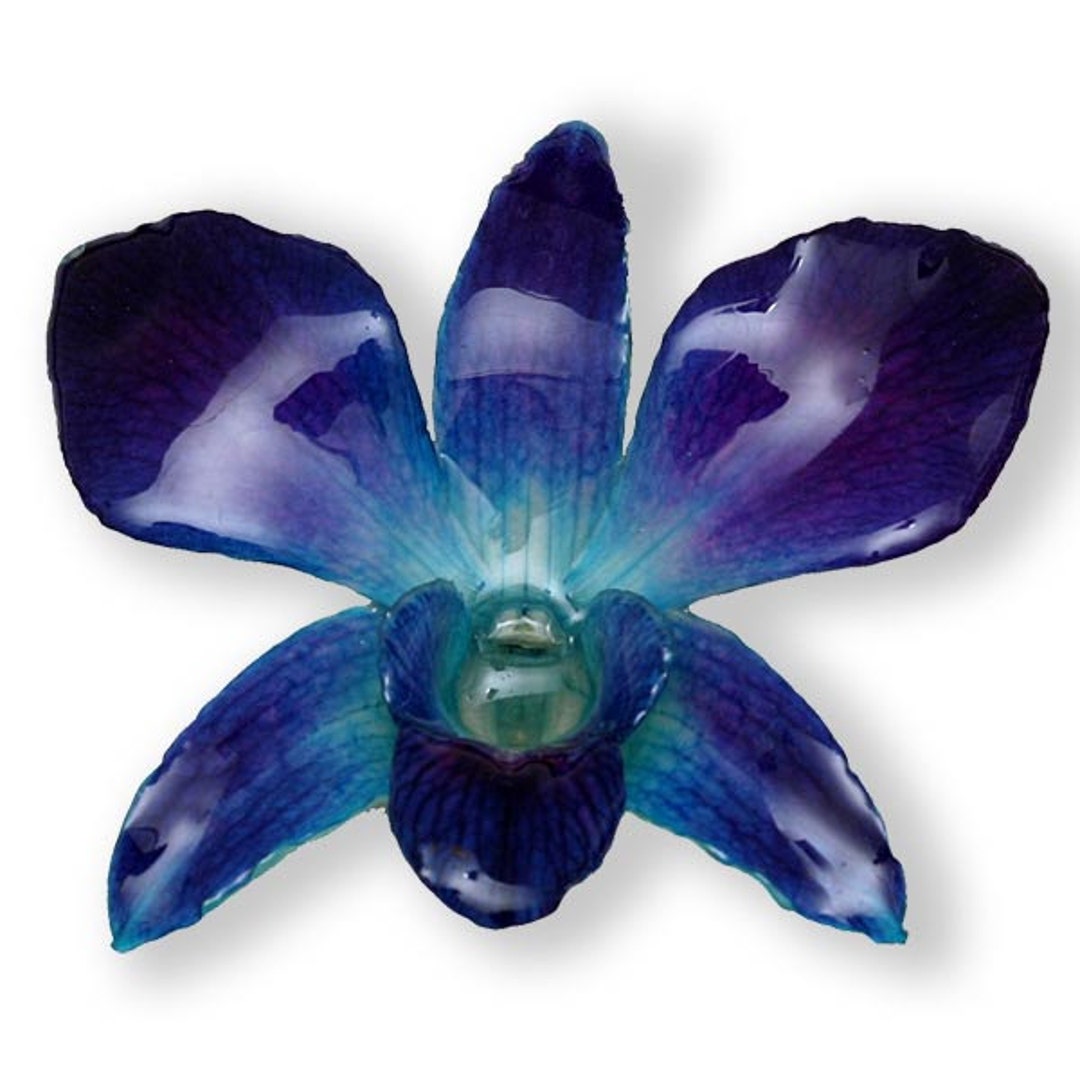 ORCHID PIN - Etsy