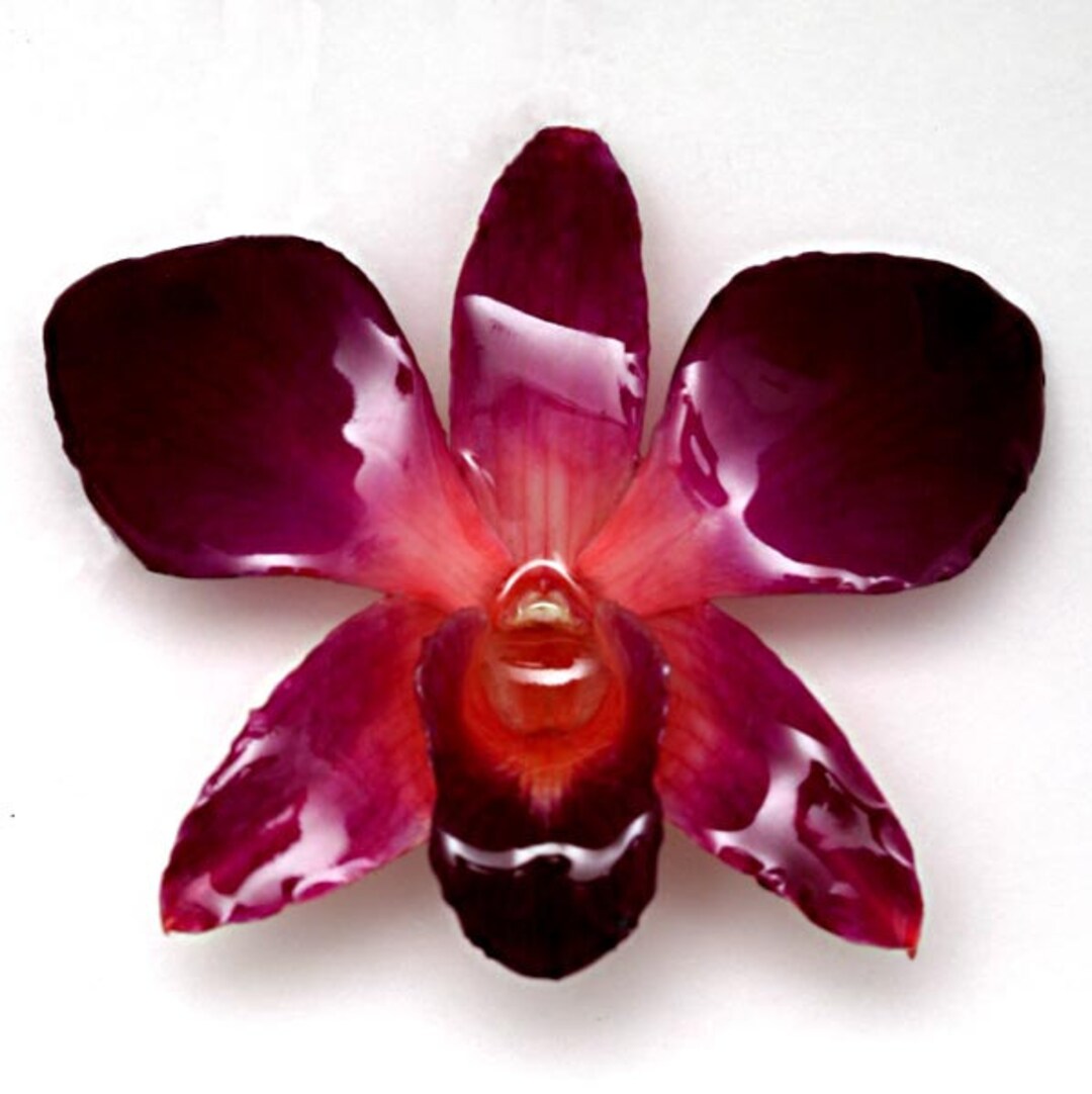 ORCHID PIN - Etsy